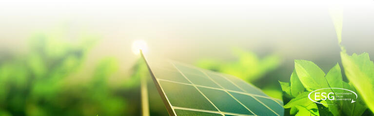 Intertek-UL_6 Poly Solar Module_Page 1